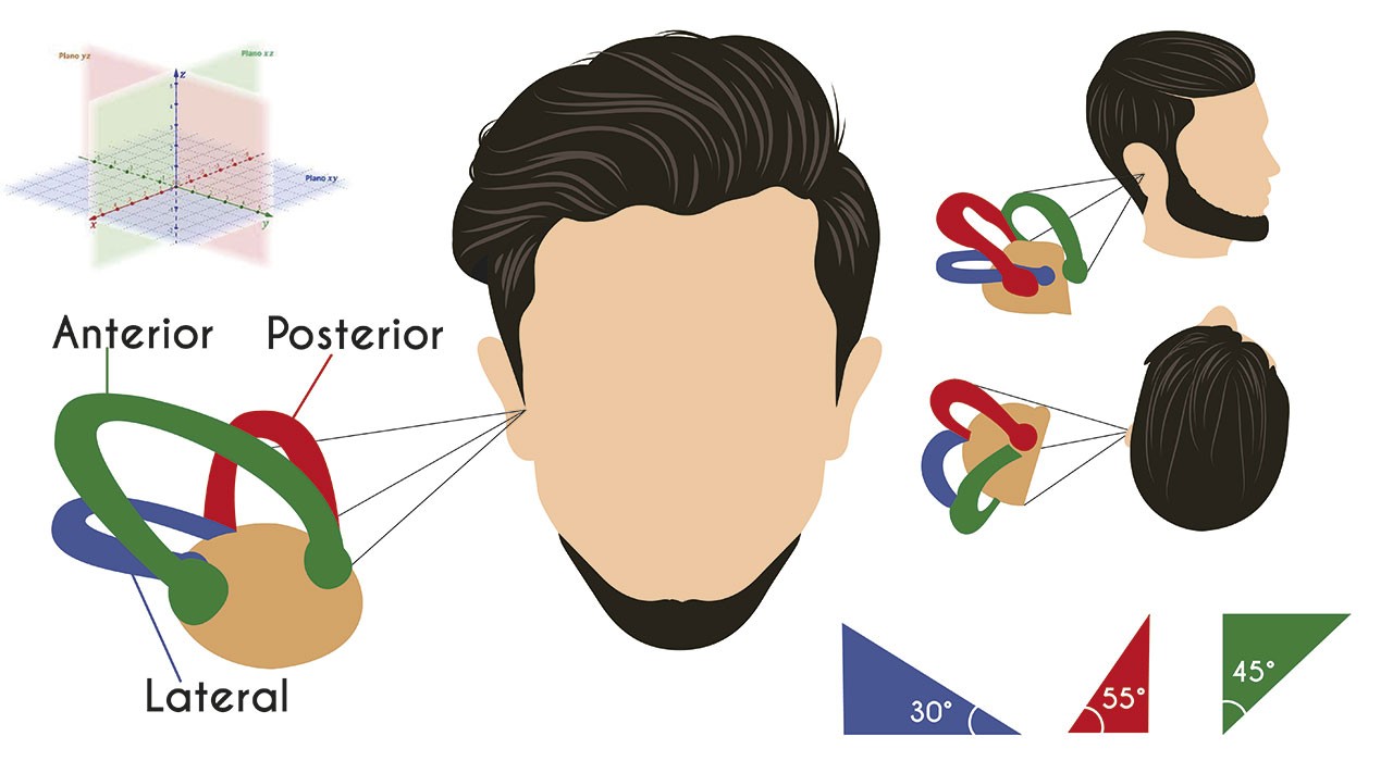 Figura 1. Canales semicirculares. Elaboración propia.